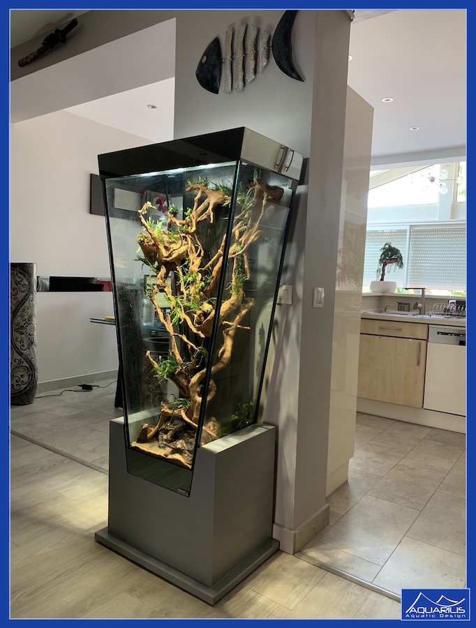 Column aquarium - Aquarilis
